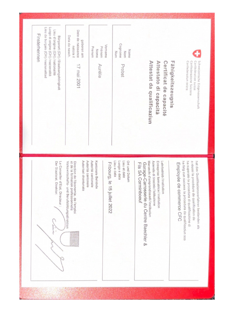 CFC Aurélie Probst | PDF