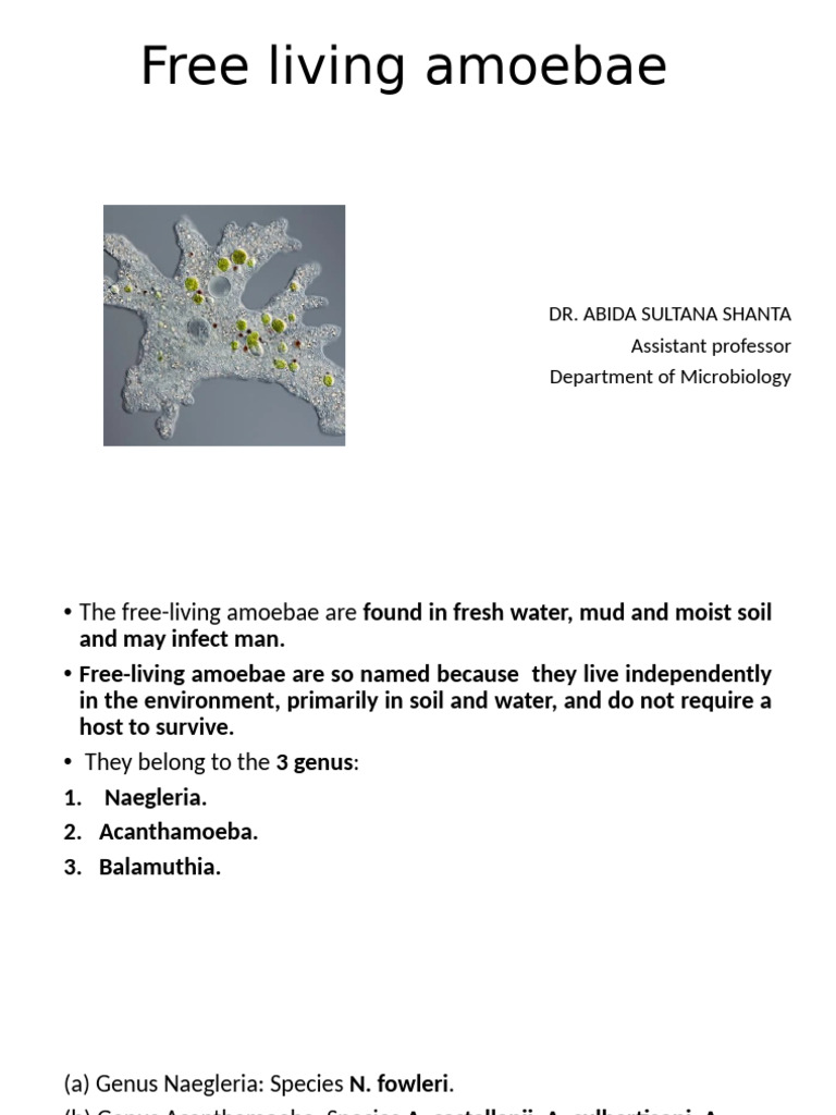 Free Living Amoebae | PDF | Microbiology