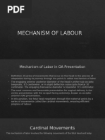 7 Cardinal Movements of Labor Explained | PDF
