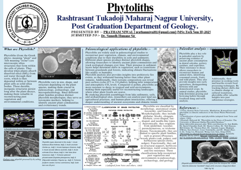 Phytoliths: Key to Paleoecology Insights | PDF | Biology | Plants
