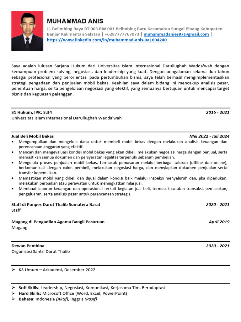 Profil Profesional Muhammad Anis | PDF