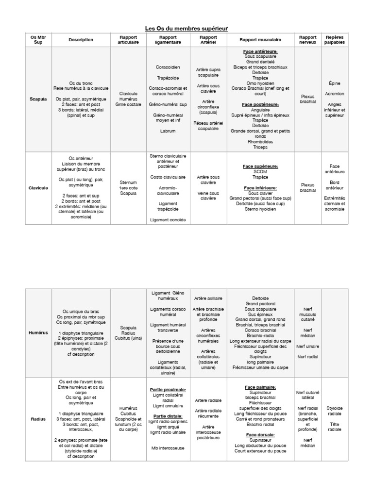 Anatomie des os du membre supérieur | PDF | Système squelettique ...