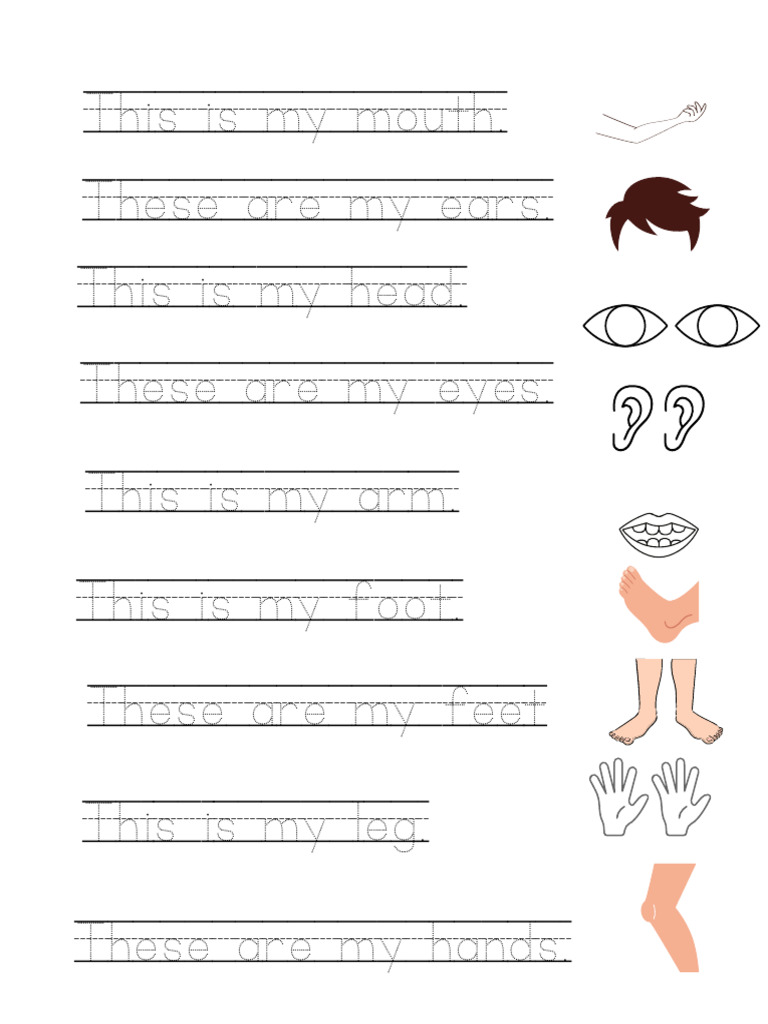 My Five Senses Illustrated Writing and Matching Worksheet | PDF