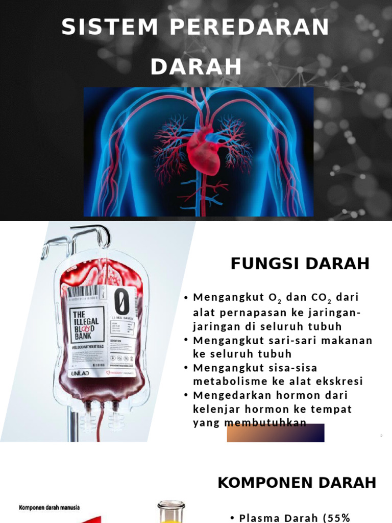 Contoh Penyakit Vaskuler dalam Darah | PDF