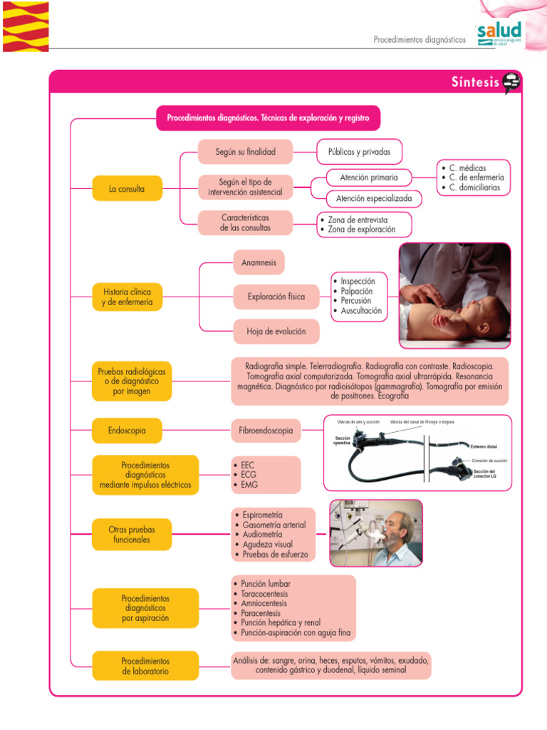 01 Esquemas Primeros Auxilios Servicio Aragones Salud Enfermeria | PDF | Examen físico ...