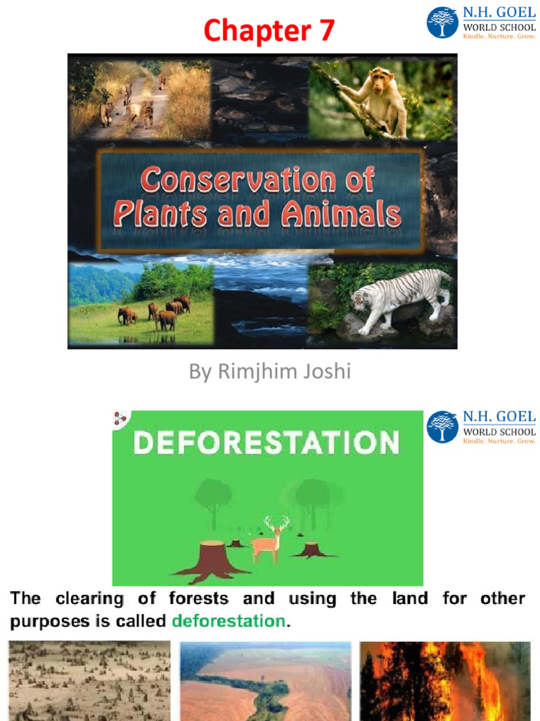 Conservation of Plants and Animals Quiz | PDF | Endangered Species ...