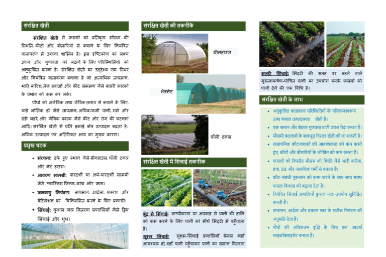 Leaf Let 2 | PDF