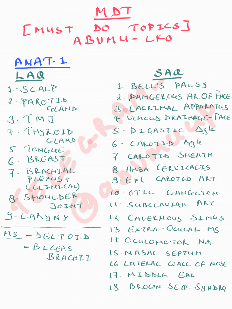 Must Topics Anatomy 2 | PDF