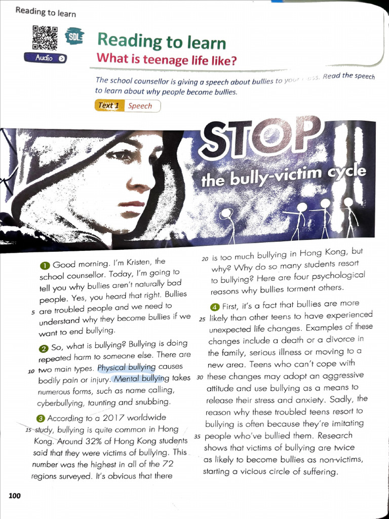 Bullying Reading | PDF