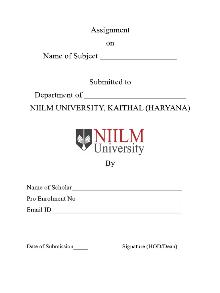 Assignment Format NIILM University, Kaithal | PDF