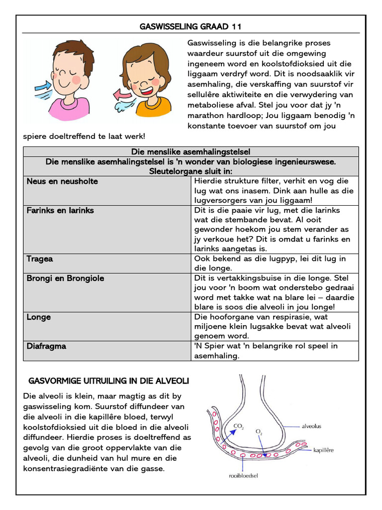 Graad 11 GASWISSELING | PDF