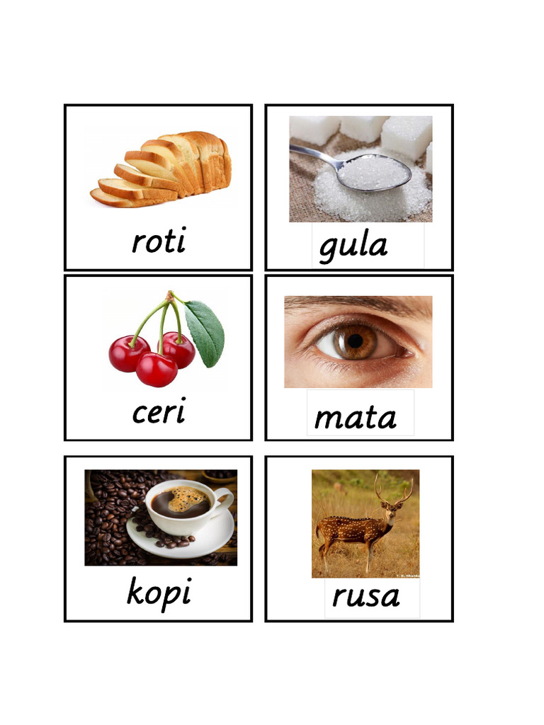 Flash Card Montessori | PDF