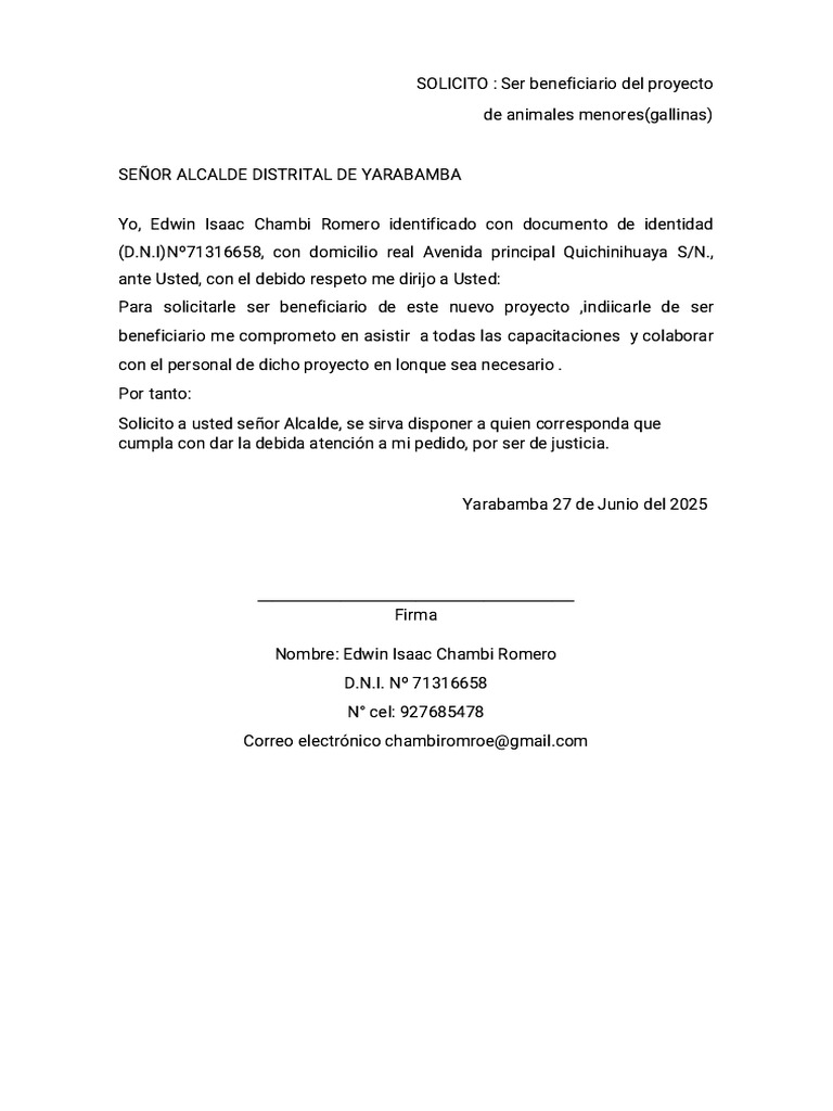 Formato Solicitud Simple | PDF