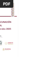 Lineamientos Generales PVU 2024 Alta | PDF