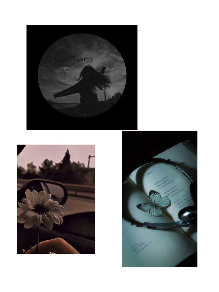 Aesthetic 1 | PDF