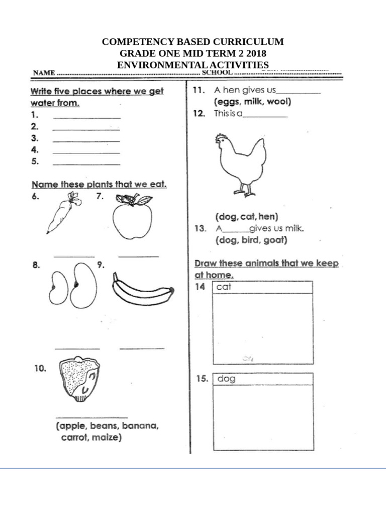 Environmental Activities CBC Grade 1 Mid Term 2 Exam 2018 | PDF