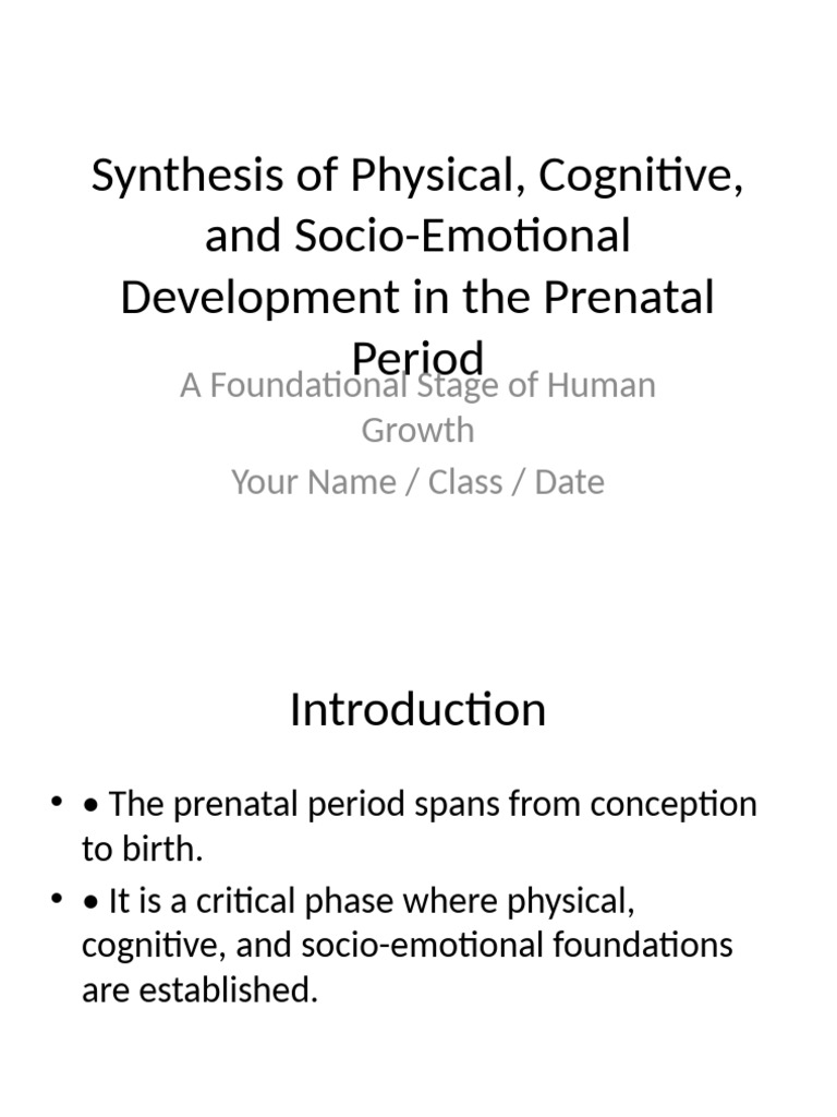 Prenatal Development Synthesis Report | PDF
