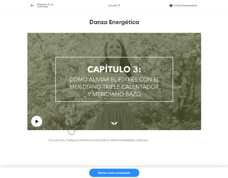 0.capura de Pantalla Lección 9 - Danza Energética - Platform ...