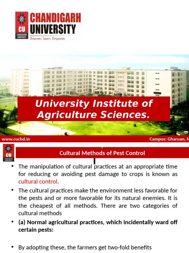 Cultural Pest Control Methods in Agriculture | PDF | Pest (Organism ...