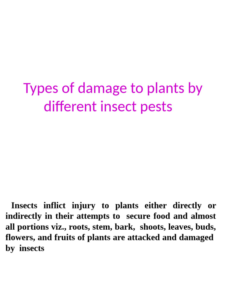 Insect Damage Types on Plants Explained | PDF | Leaf | Insects