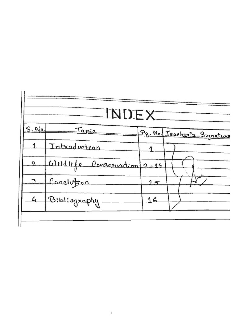 Class 10 Geography Project | PDF