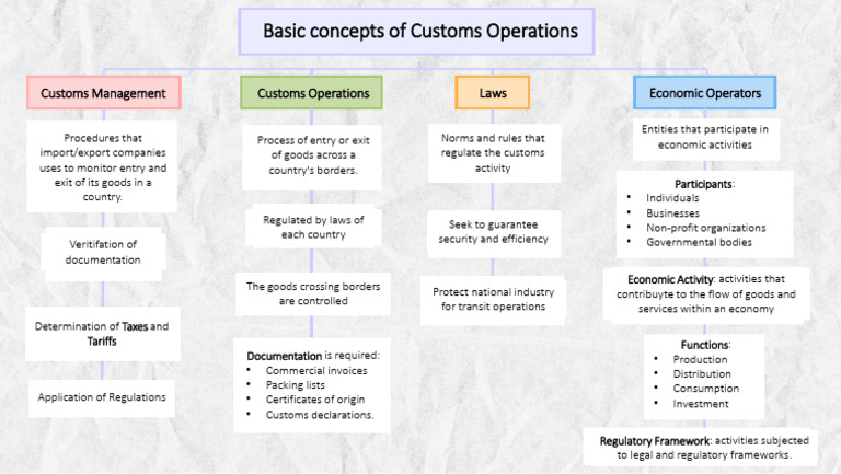 Customs Operations Overview | PDF | Customs | Economies
