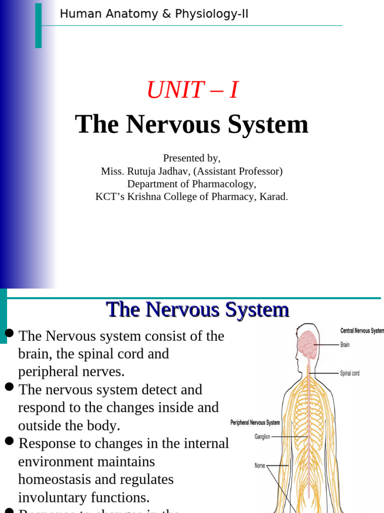 Unit I Nervous System | PDF | Neurotransmitter | Action Potential