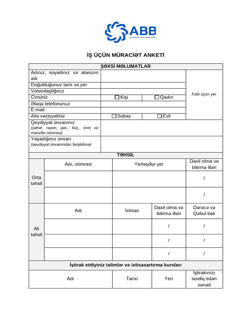 ABB CV Form | PDF