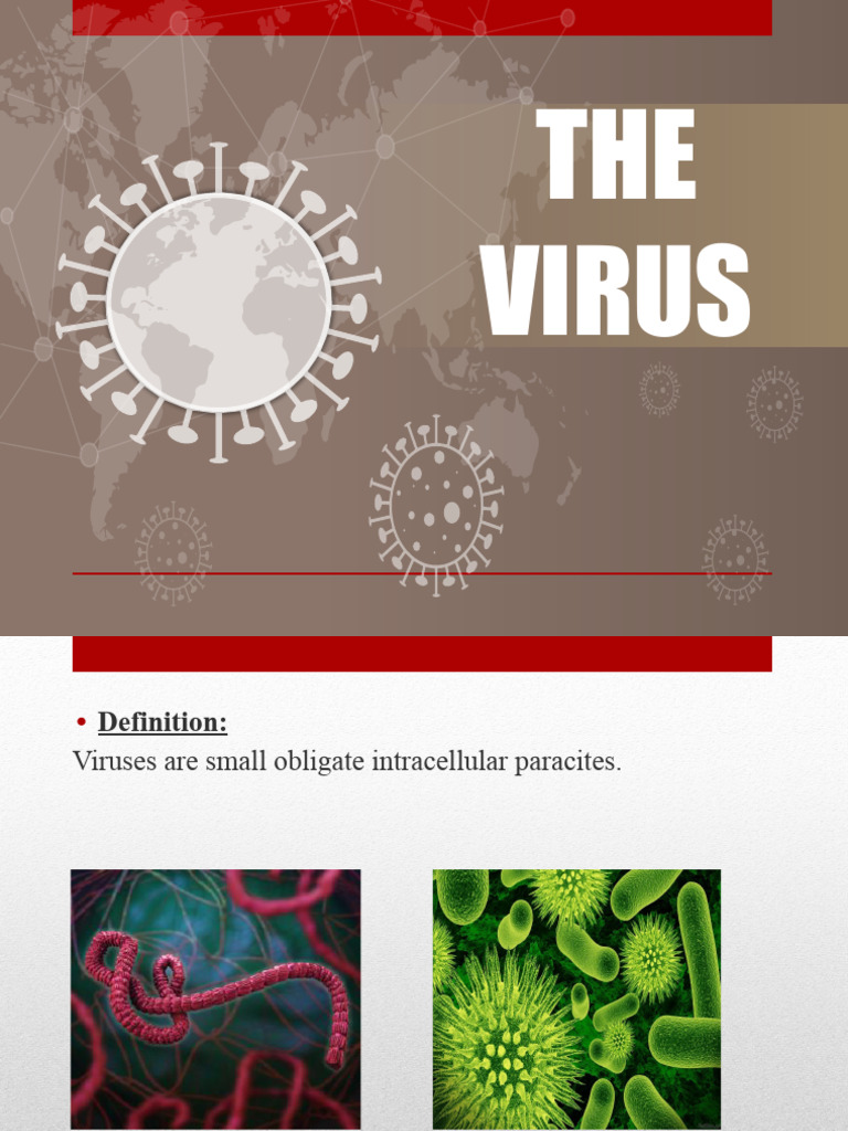 Virus English Version | PDF | Virus | Virology