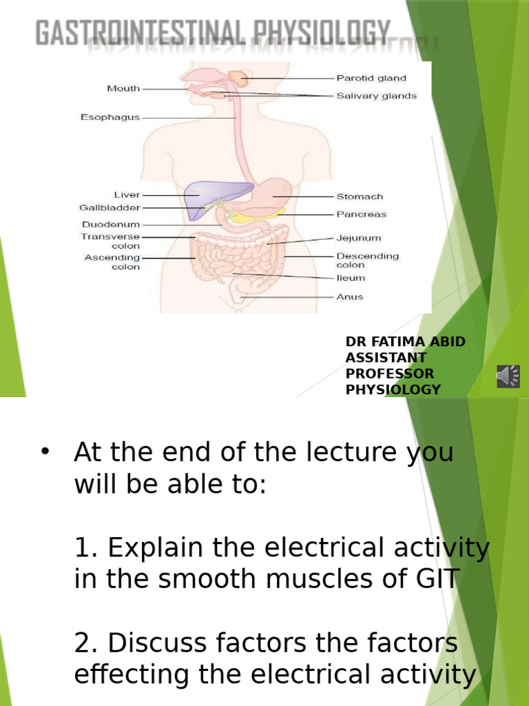 Gastrointestinalphysiology Electrical Activity | PDF | Gastrointestinal ...