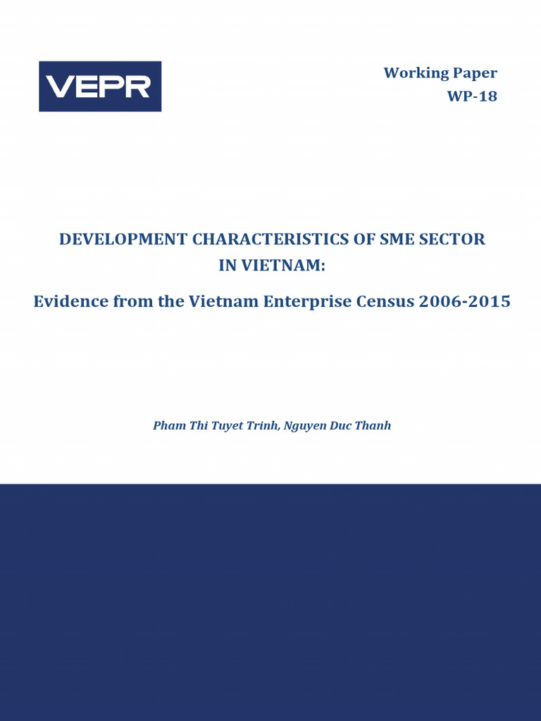 SME Development in Vietnam 2006-2015 | PDF | Economies | Business