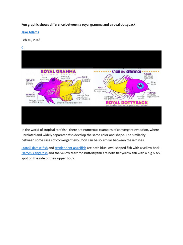 Royal Gramma vs. Dottyback Guide | PDF