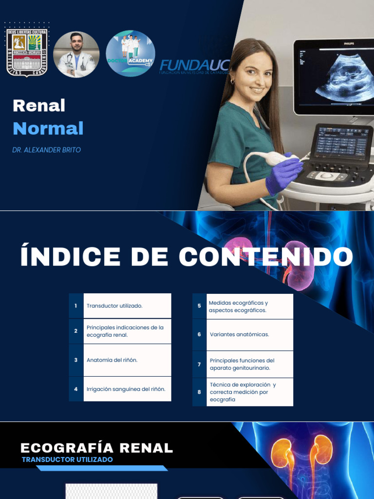 Ecografía Renal Normal: Guía Completa | PDF | Riñón | Ultrasonido médico