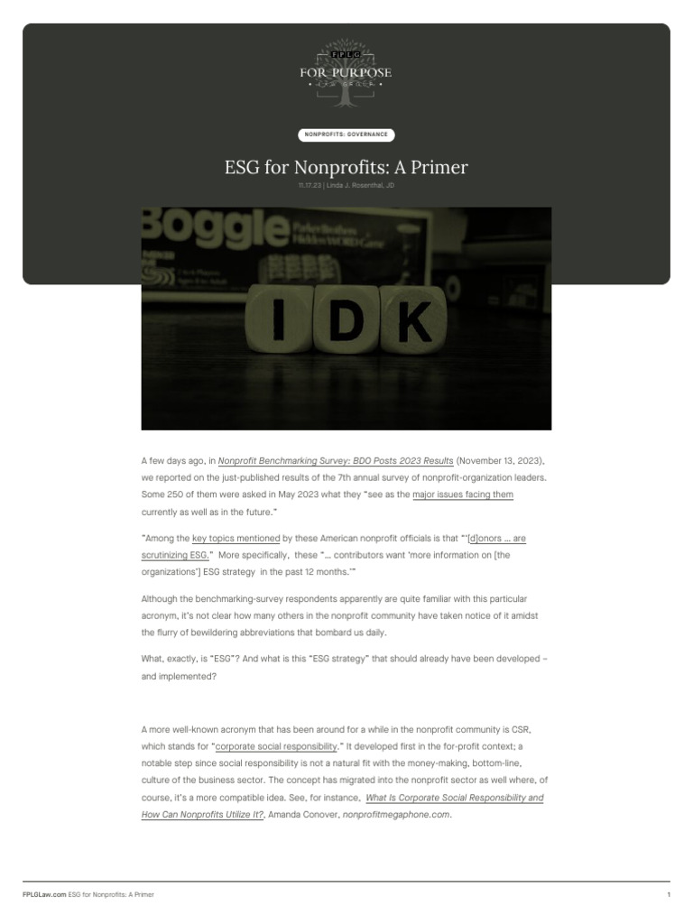 ESG Strategies for Nonprofits Explained | PDF | Corporate Social ...