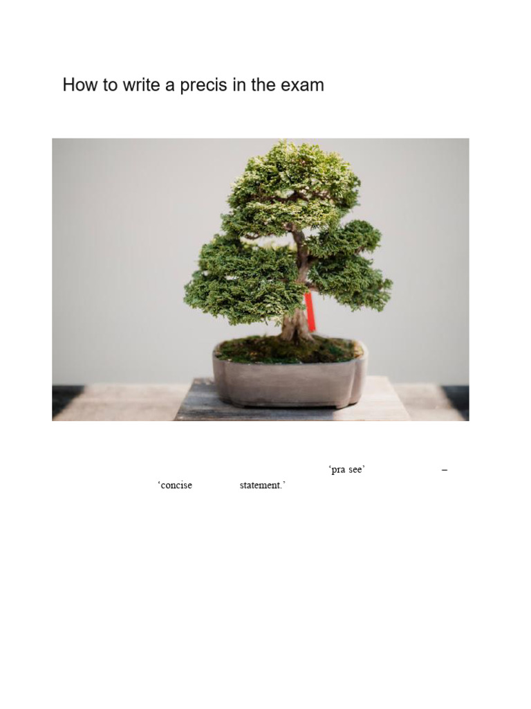 How To Write A Precis in The Exam | PDF | Word | Phrase