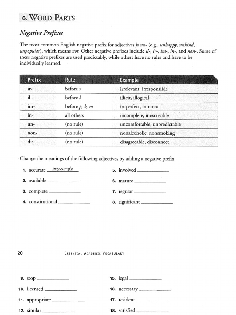 Negative Prefixes | PDF