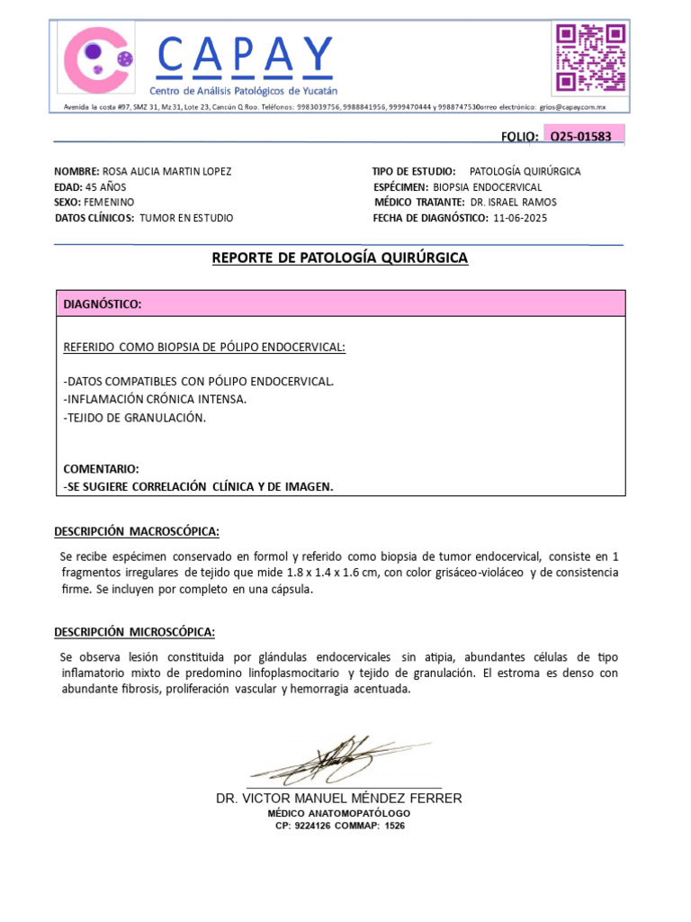 Q25-01583 Polipo | PDF