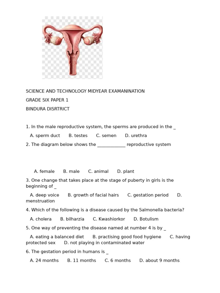Science and Technology Grade 6 Paper 1 | PDF | Foods | Plants