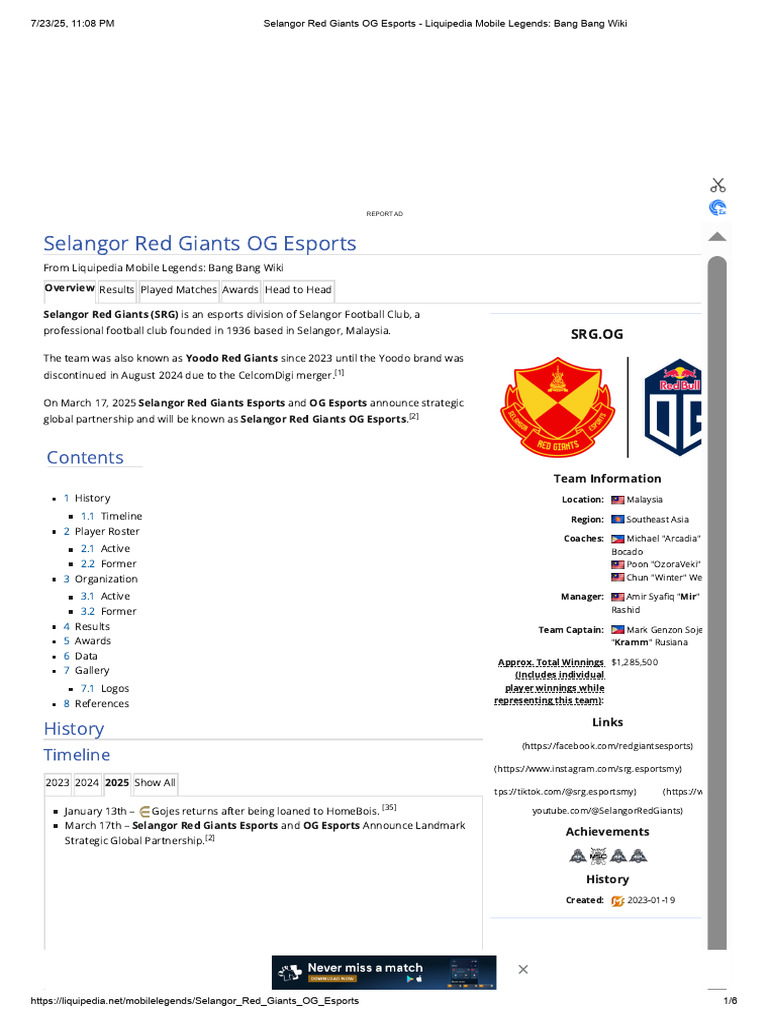 Selangor Red Giants OG Esports Overview | PDF | Sports