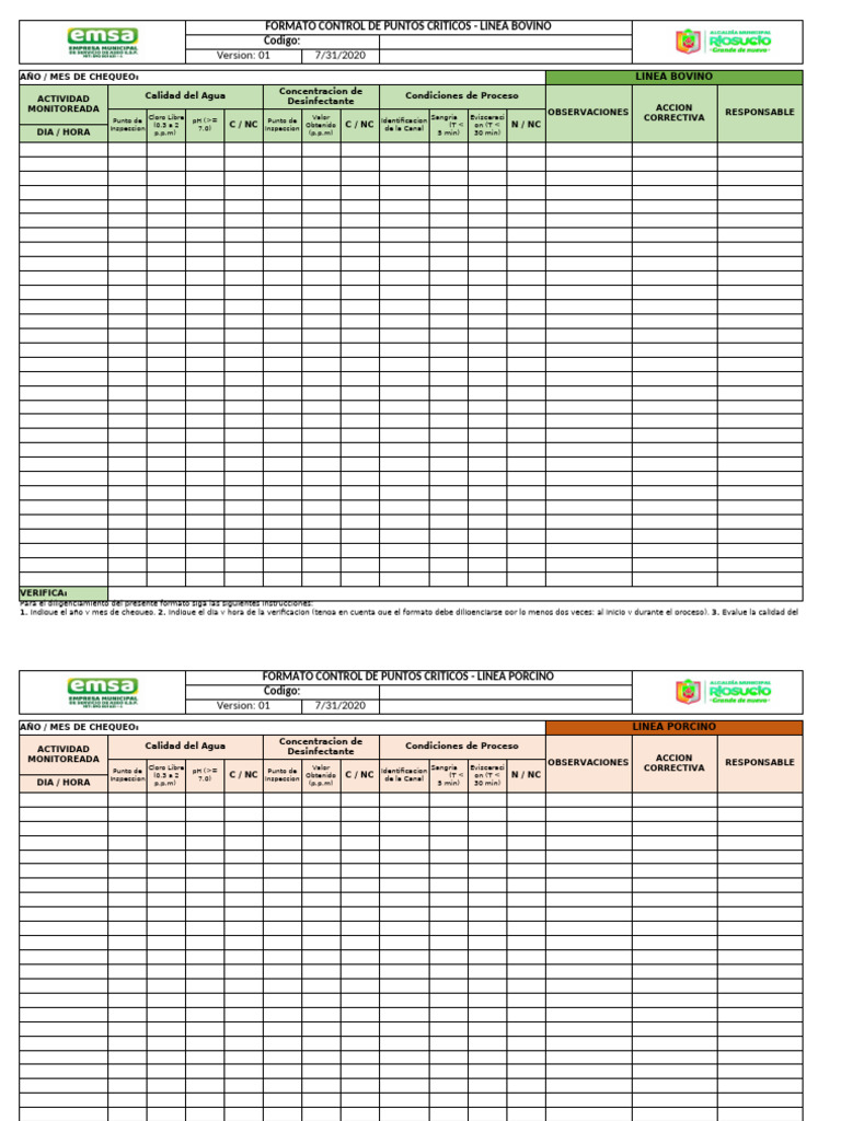Formatos Control de Puntos Criticos | PDF