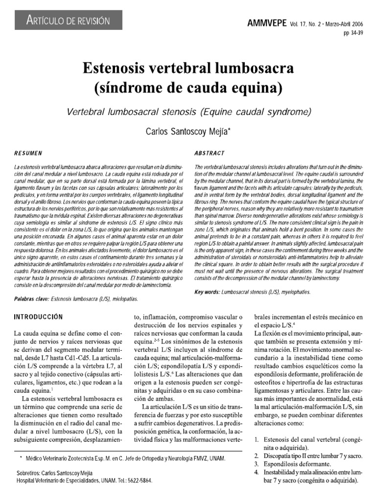 Cauda - Equina Revision Biblio | PDF