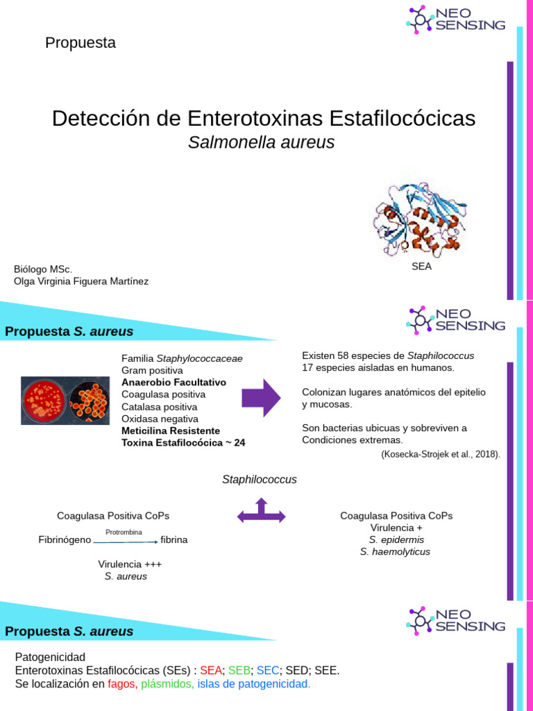 The Bio-Barcode Assay For The Detection of Protein and Nucleic Acid ...