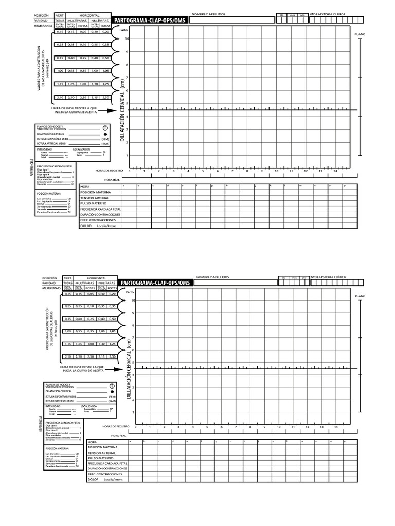 Partograma 2en1 | PDF