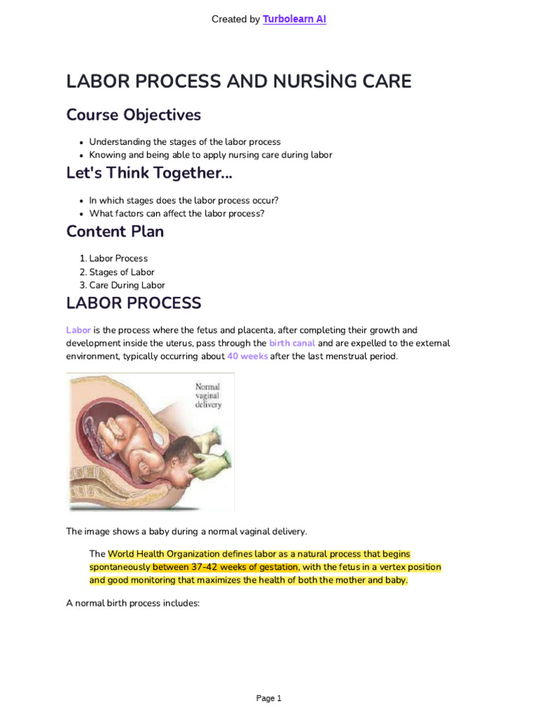Labor Process 10 | PDF | Childbirth | Pelvis