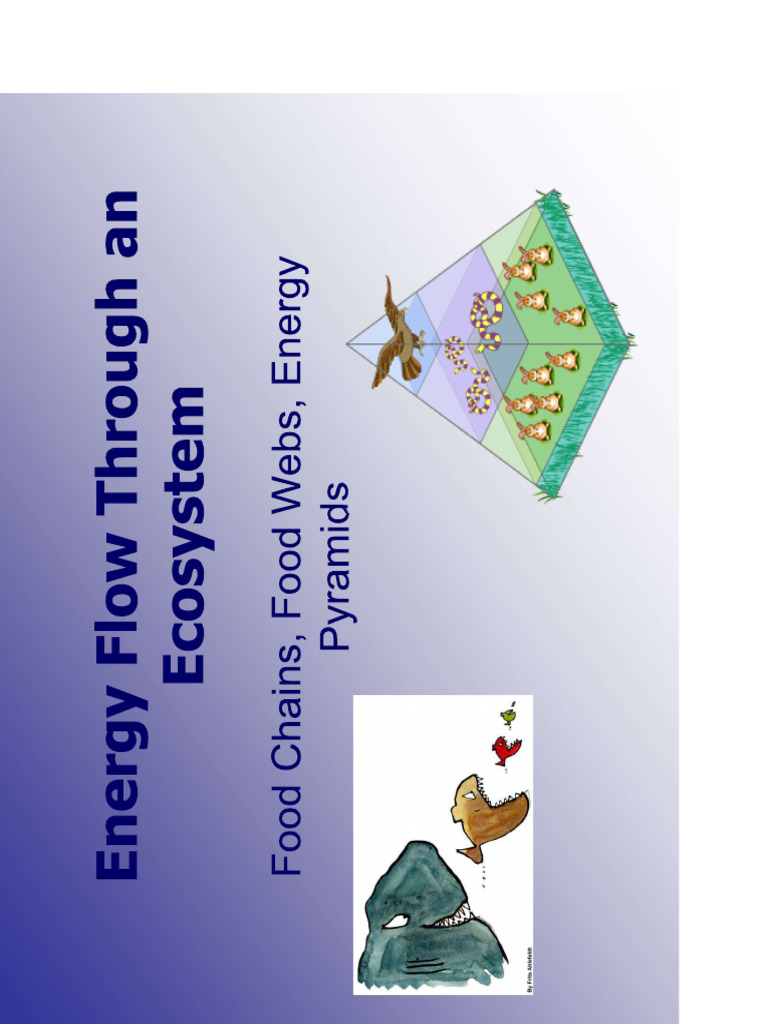 Bio Energy Flow, Ecosystem | PDF