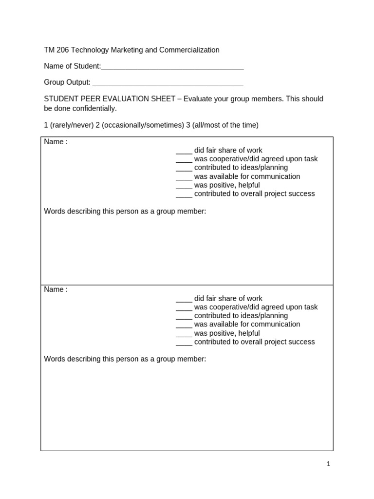 TM 206 Peer Evaluation | PDF | Social Psychology