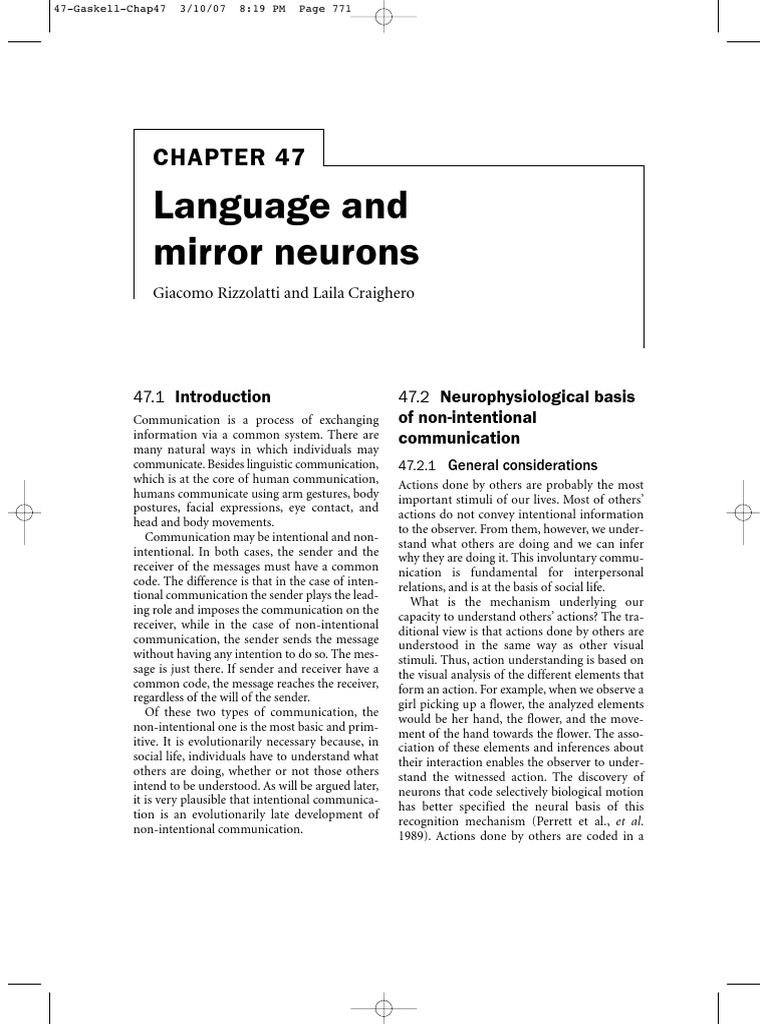 Language and Mirror Neurons | PDF | Parietal Lobe | Communication