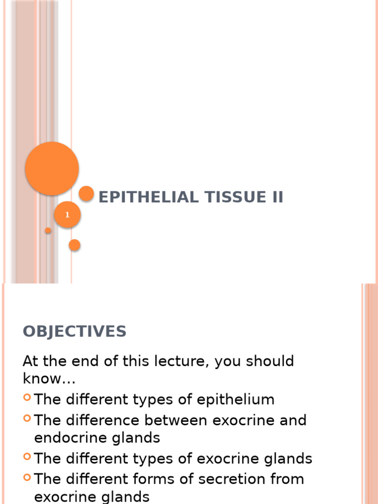 Epithelial Tissue II | PDF | Epithelium | Anatomy