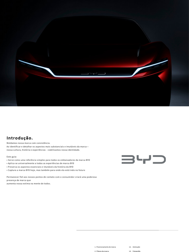 Diretrizes de Marca BYD LATAM 2023 | PDF | Marca | Cor