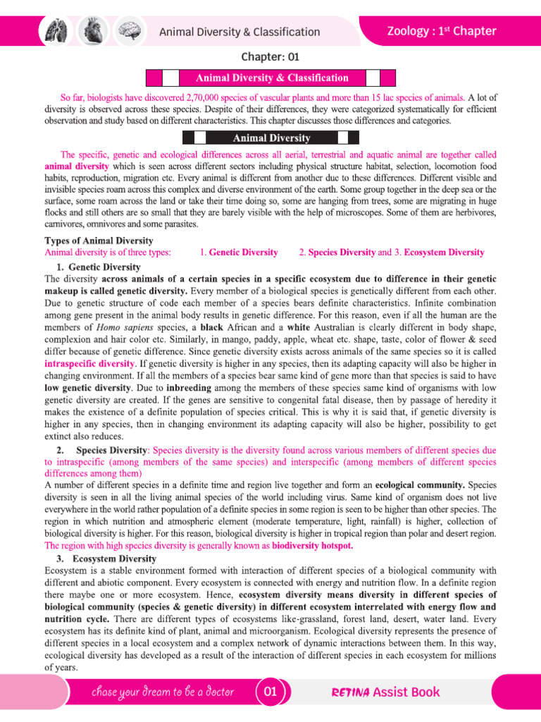 Animal Diversity & Classification Guide | PDF